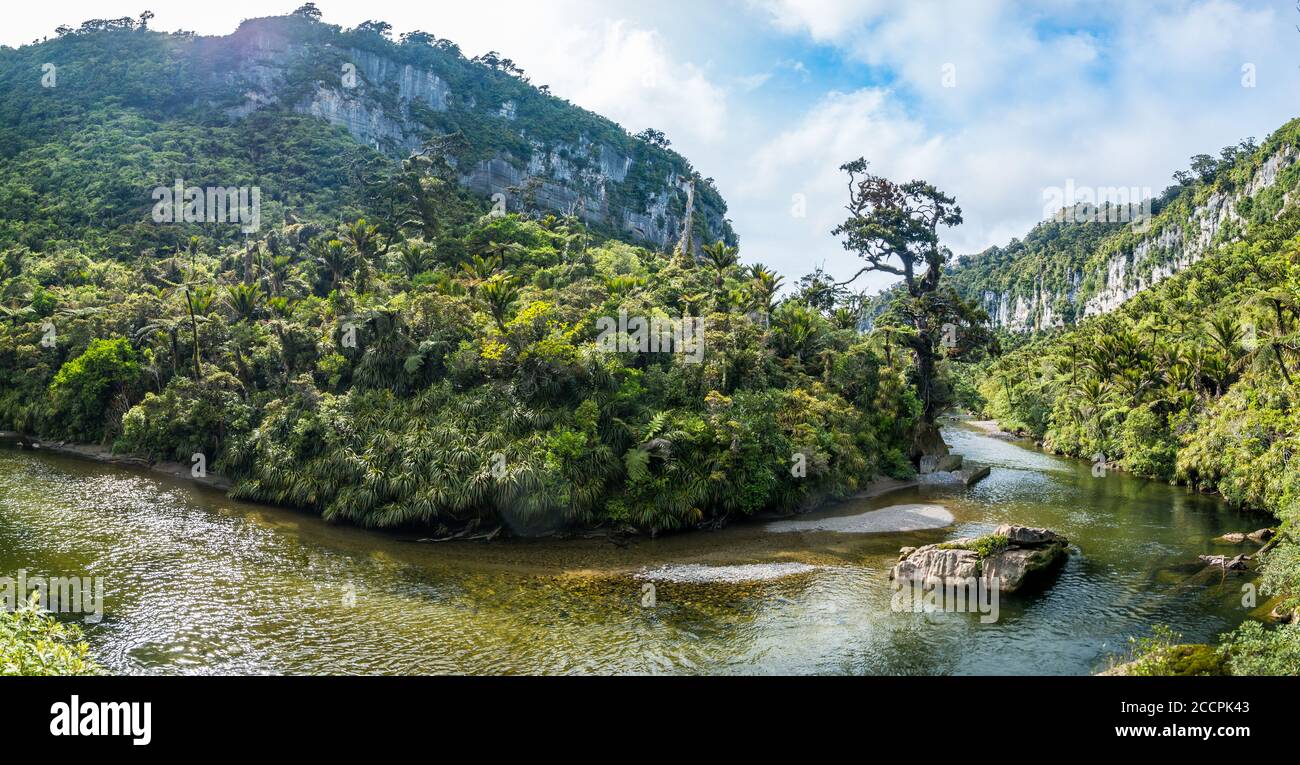 A wide river flows through a lush temperate rainforest covered with ...