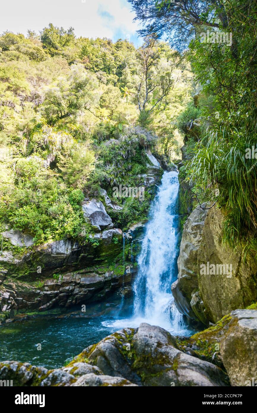 Roaring waterfall falls into pond in a temperate rainforest. Lush ...