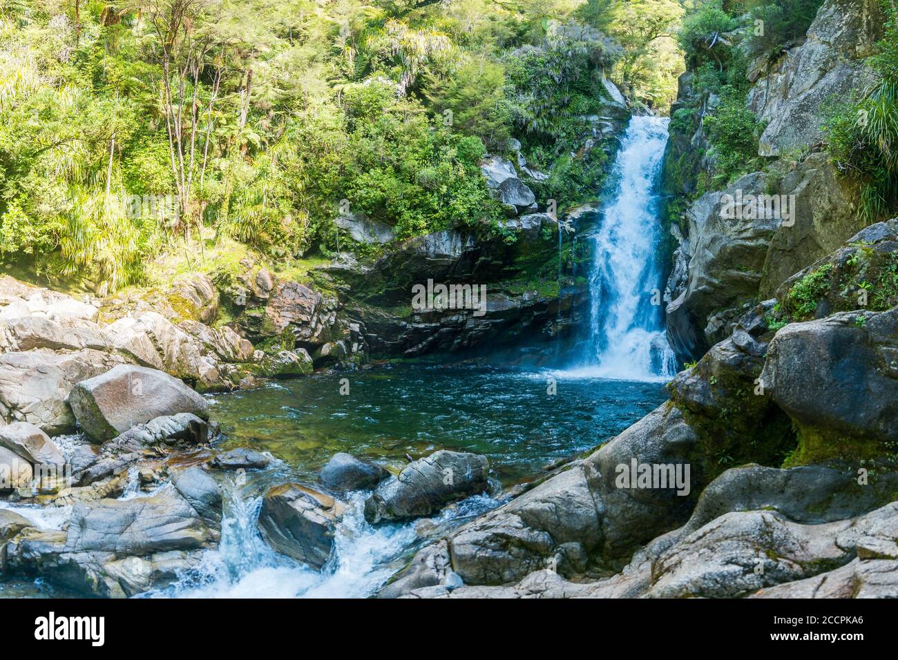 Roaring waterfall falls into pond in a temperate rainforest. Lush ...