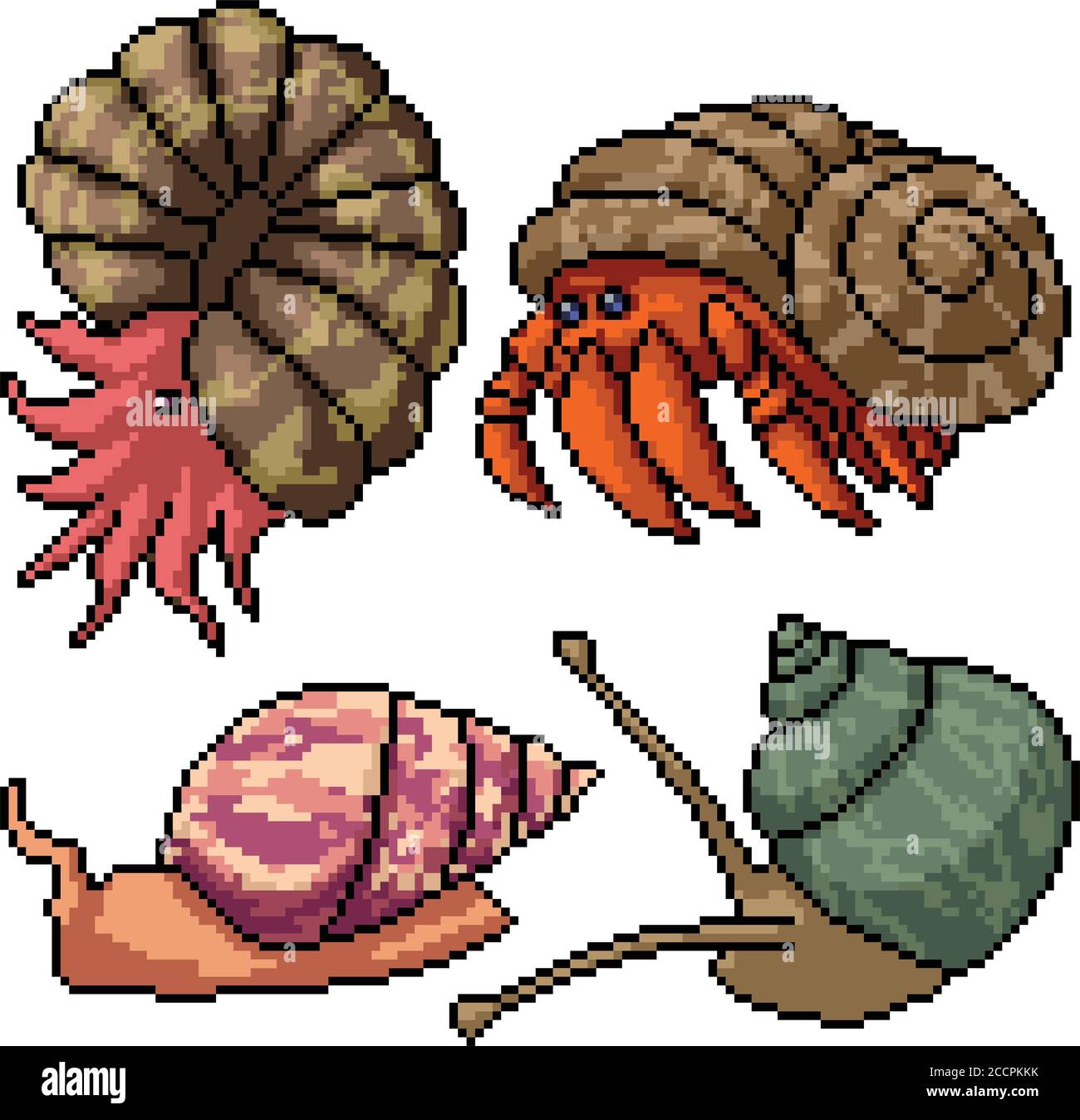 Small clam shell Stock Vector Images - Alamy