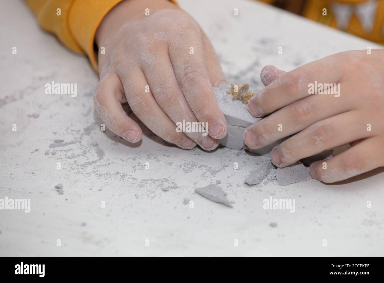 image of an educational game to find fossils for a small archaeologist ...