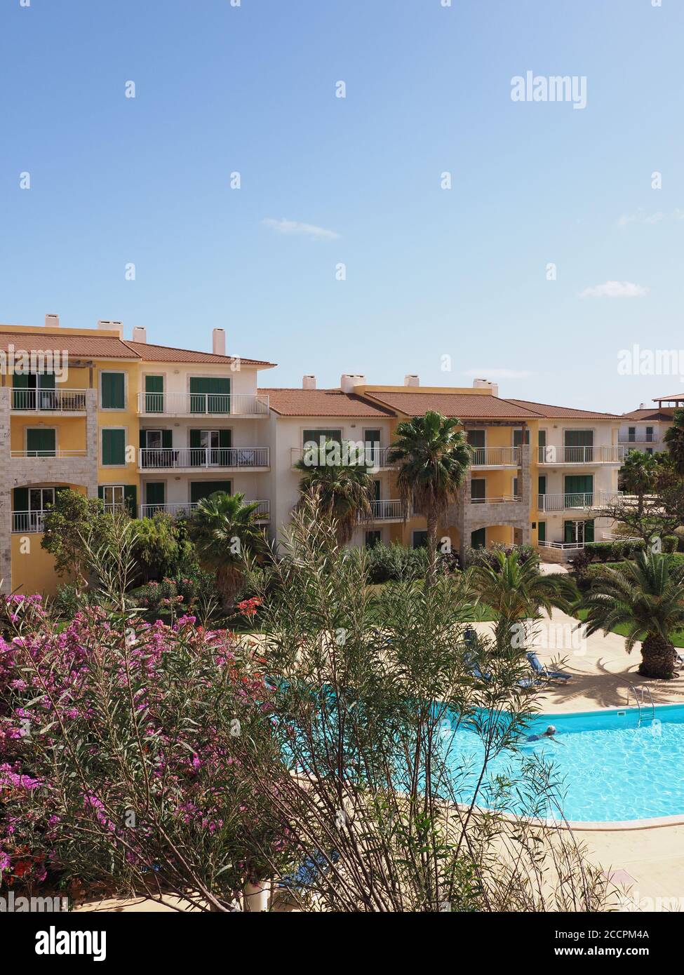 Beauty complex and exotic trees on Sal island in Cape Verde - vertical ...