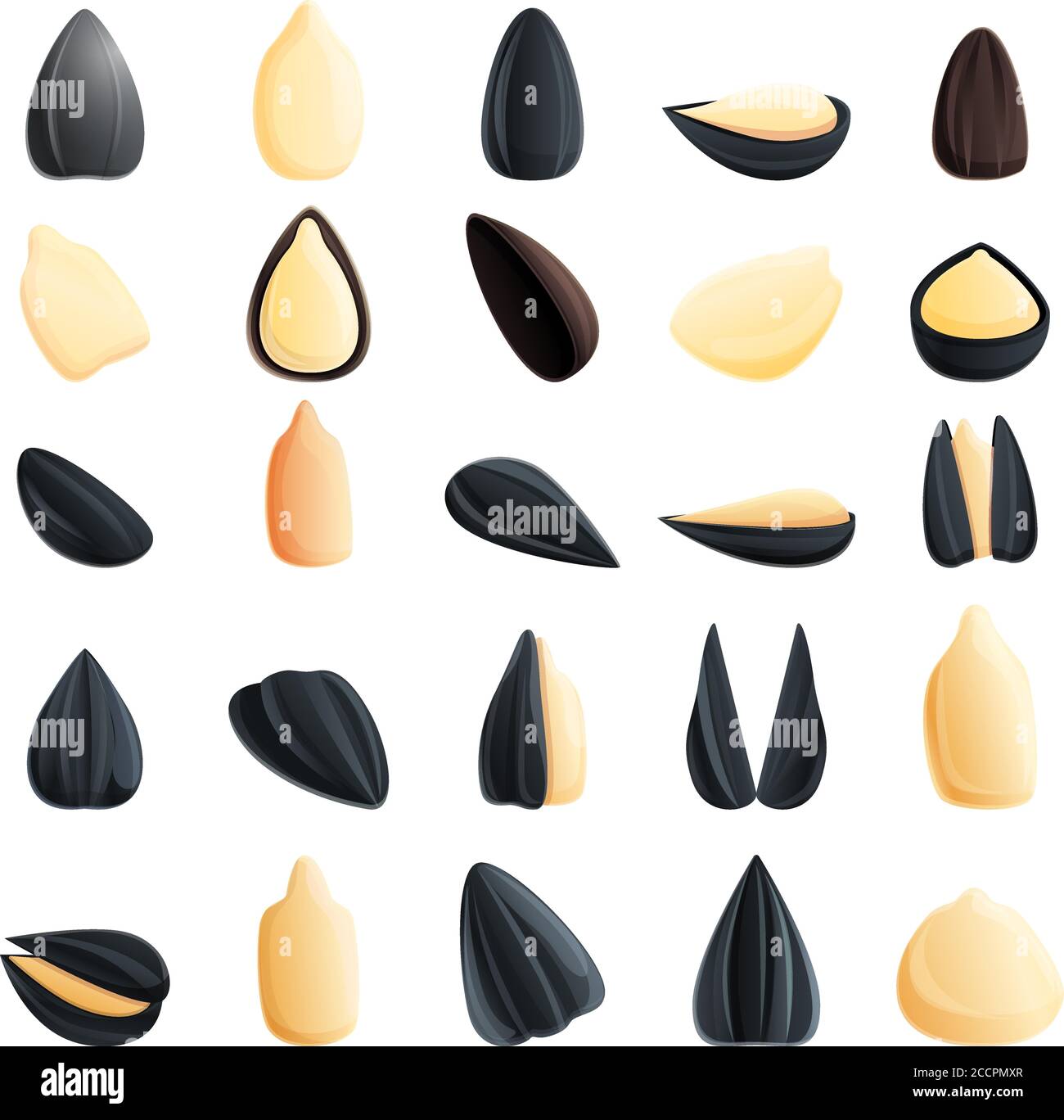 Sunflower seed icons set. Cartoon set of sunflower seed vector icons ...