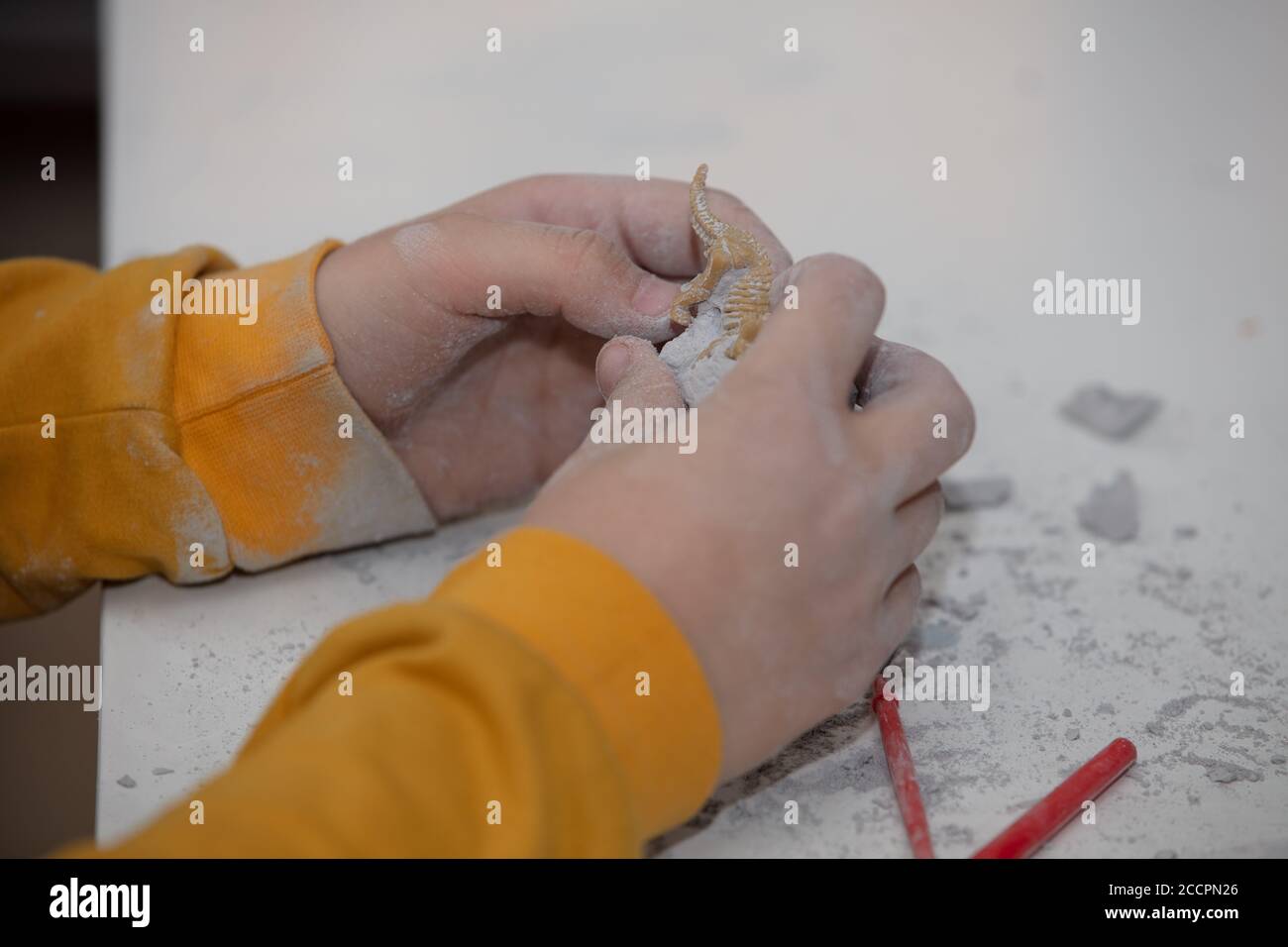 image of an educational game to find fossils for a small archaeologist ...