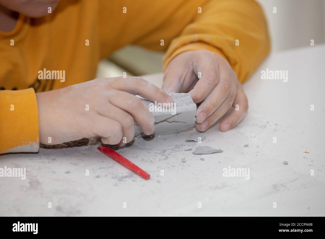 How To Play Fossils And Archeology