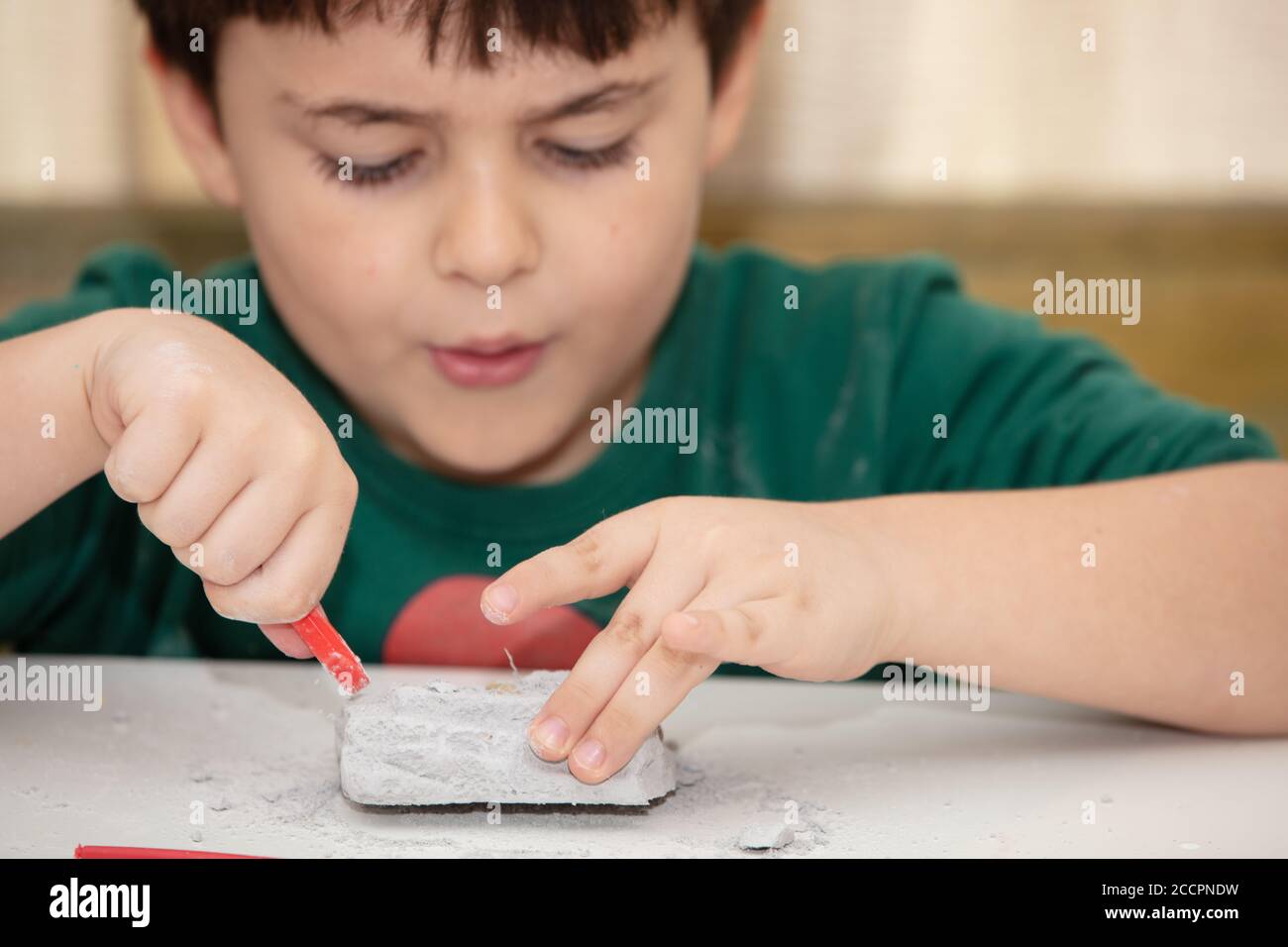 image of an educational game to find fossils for a small archaeologist ...