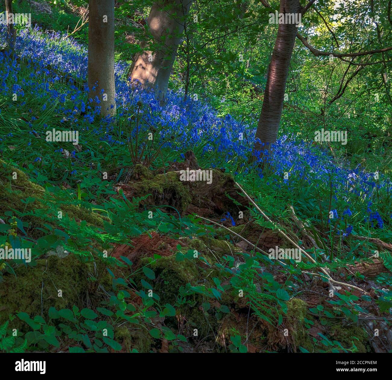 Churchdown hill chosen hill hi-res stock photography and images - Alamy
