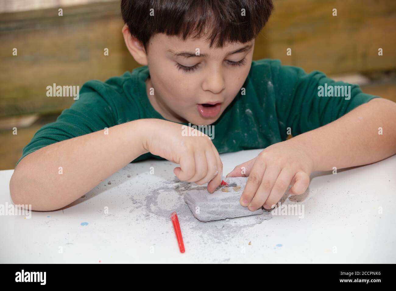 image of an educational game to find fossils for a small archaeologist ...