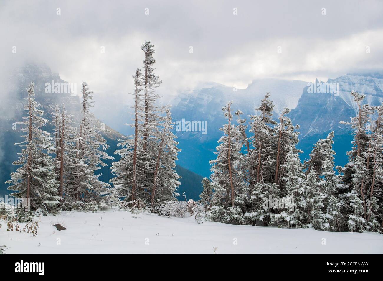 Logan winter hi-res stock photography and images - Alamy
