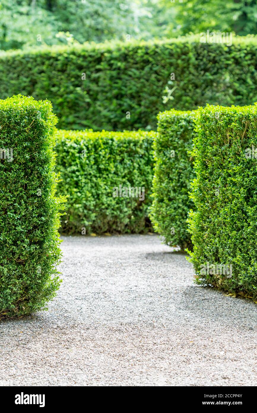 Yew hedges hi-res stock photography and images - Alamy
