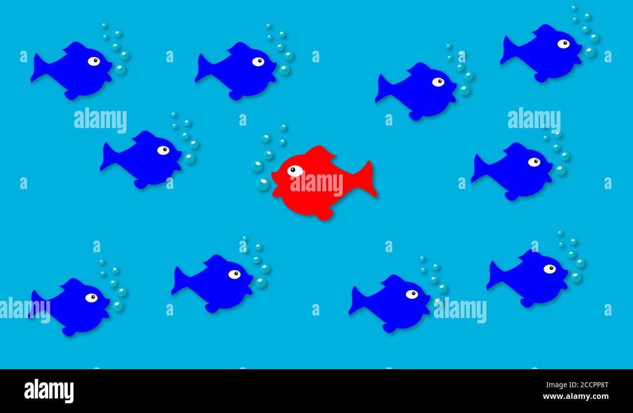 Red fish swimming in the opposite direction to all other fishes ...