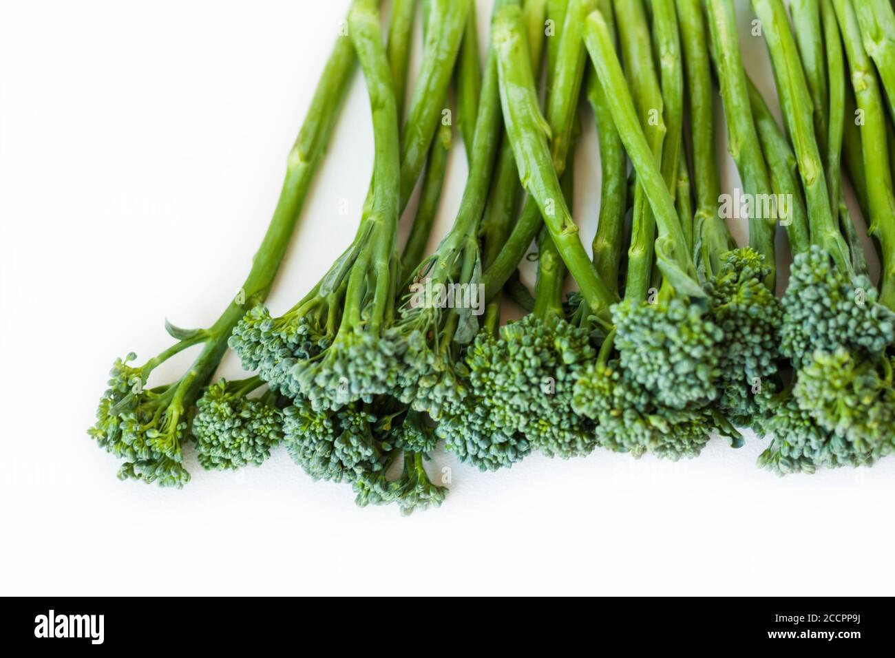 Fresh broccolini isolated on white background with copy space Stock ...
