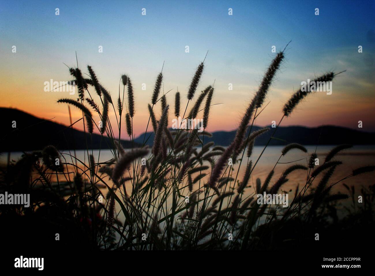 Nature Beautiful Evening Wallpaper