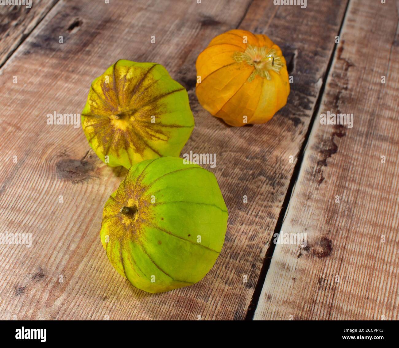 Tomatillo Plant Fruit Stock Photo - Alamy