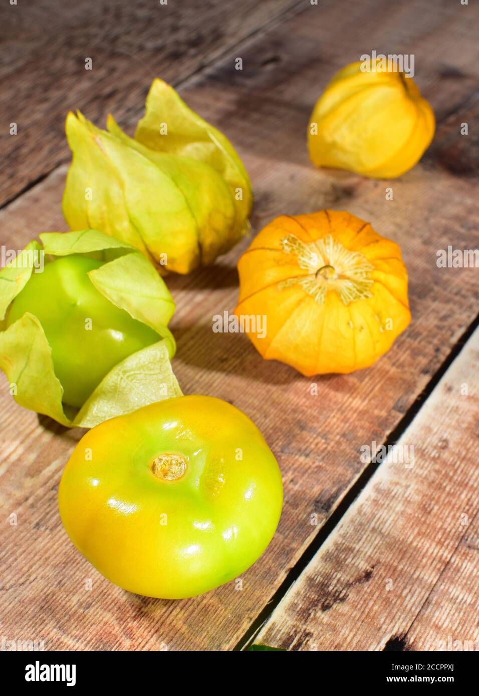 Picked tomatillo hi-res stock photography and images - Alamy