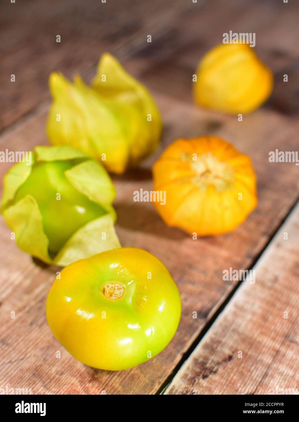 Picked tomatillo hi-res stock photography and images - Alamy