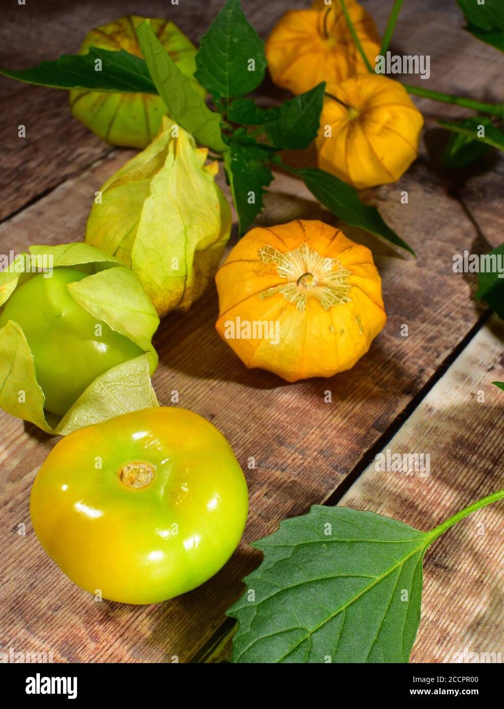 Picked tomatillo hi-res stock photography and images - Alamy
