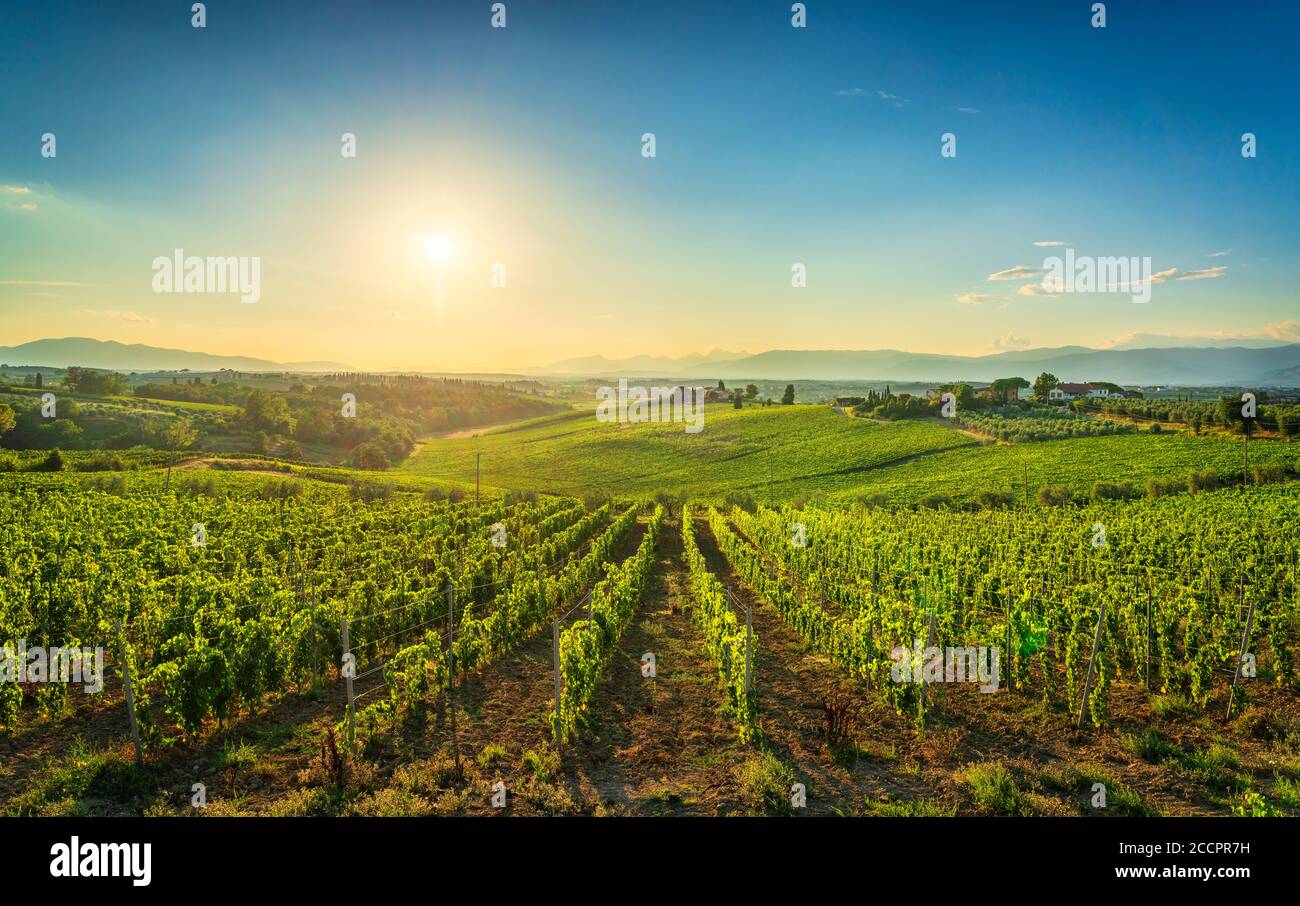 Chianti vineyards and panorama at sunset. Cerreto Guidi, Tuscany, Italy ...