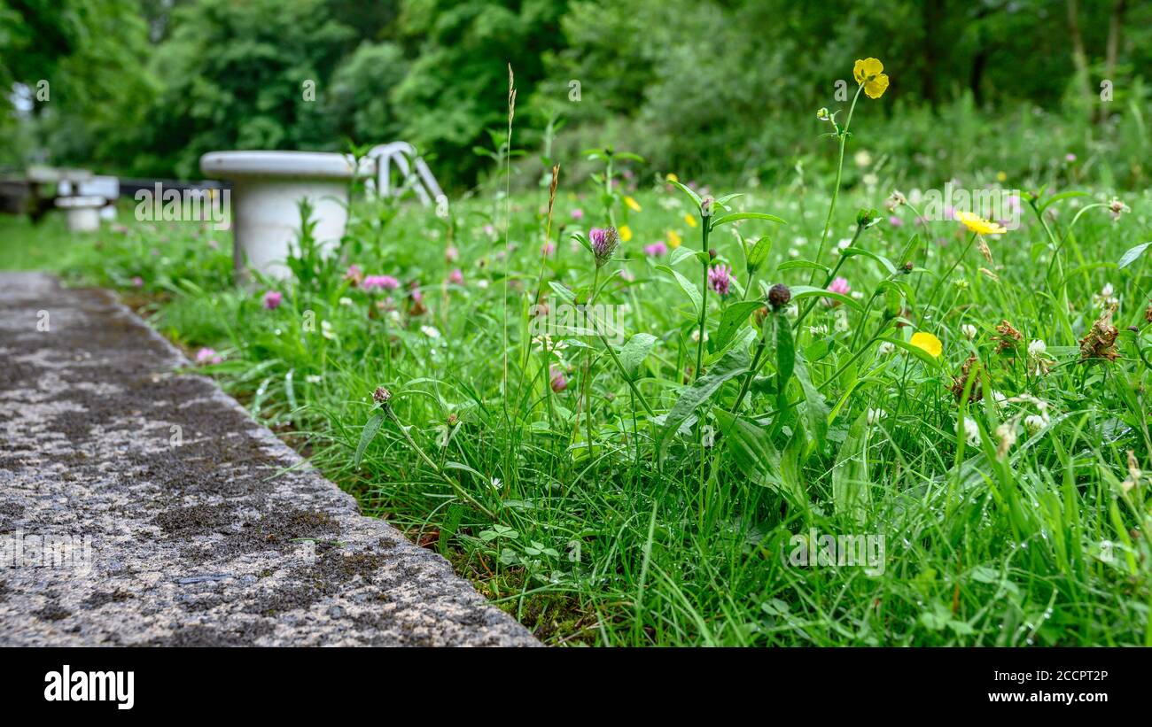 Peak Forest Canal, Marple, Manchester Stock Photo - Alamy