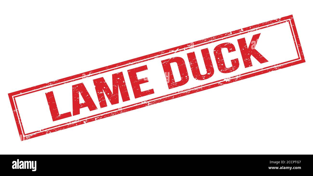 Lame duck hi-res stock photography and images - Alamy