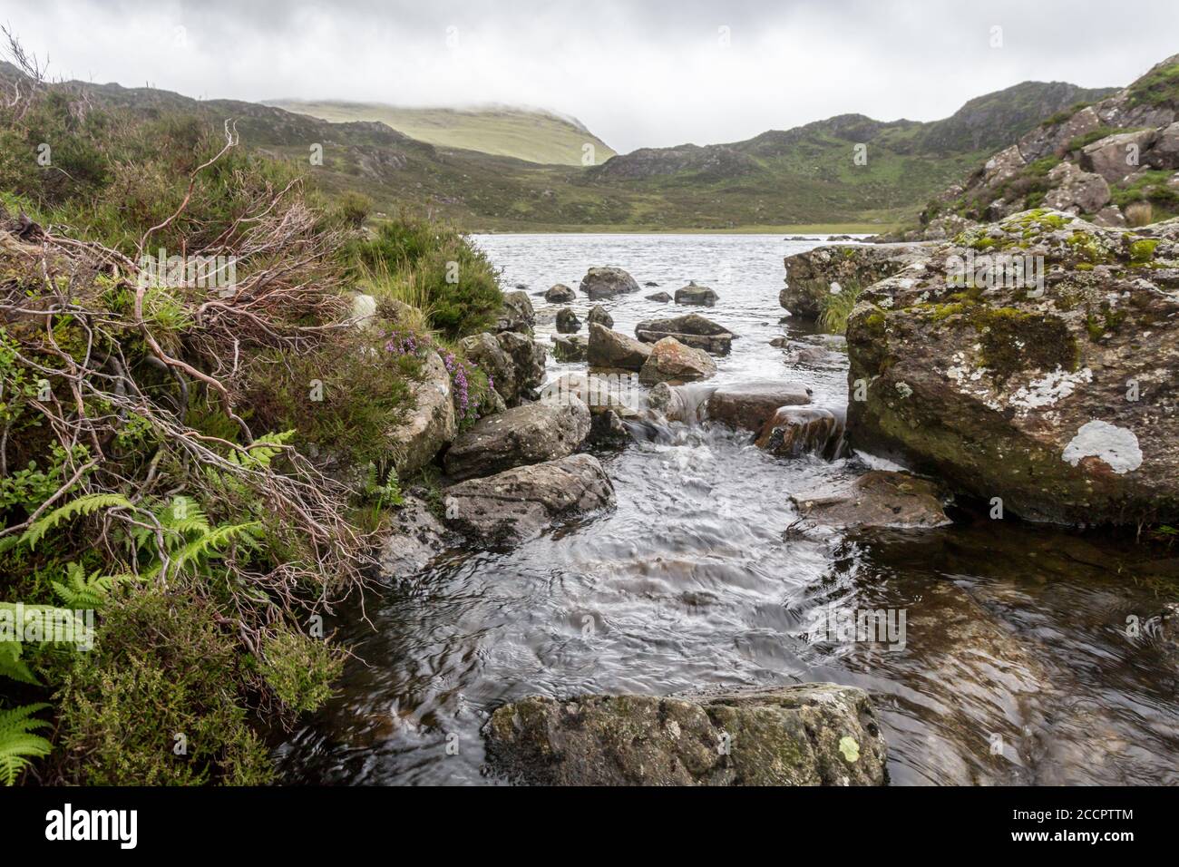 Around butter mere lake district cumbria england uk north Stock Photo ...