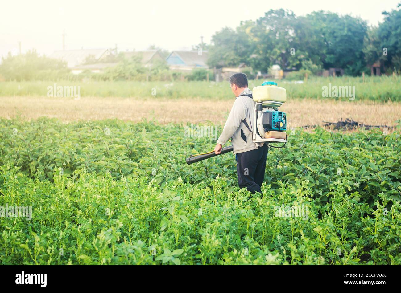 A farmer with a mist sprayer blower processes the potato plantation ...