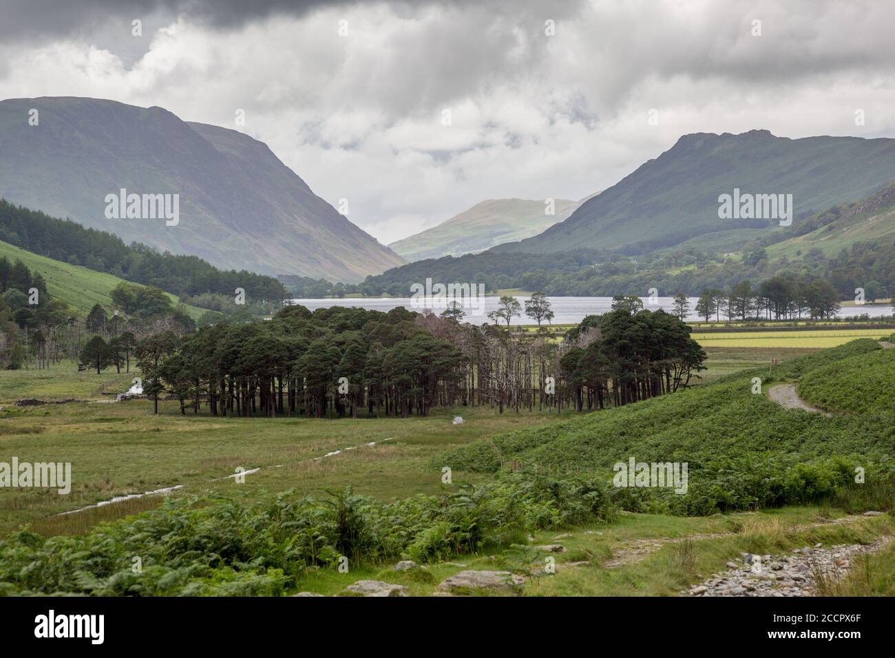 Around butter mere lake district cumbria england uk north Stock Photo ...