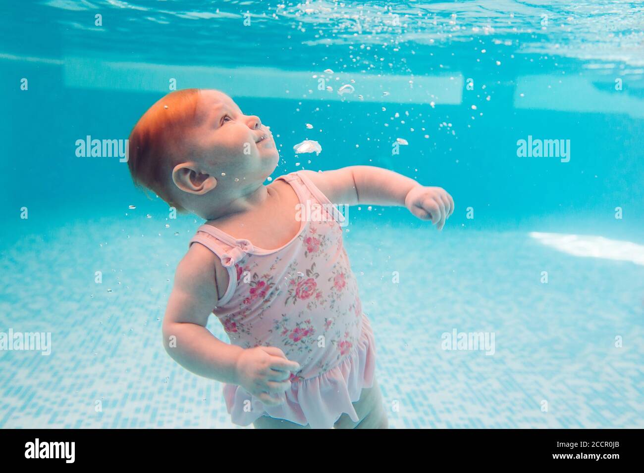 Swimmer in the swiming pool hi-res stock photography and images - Alamy