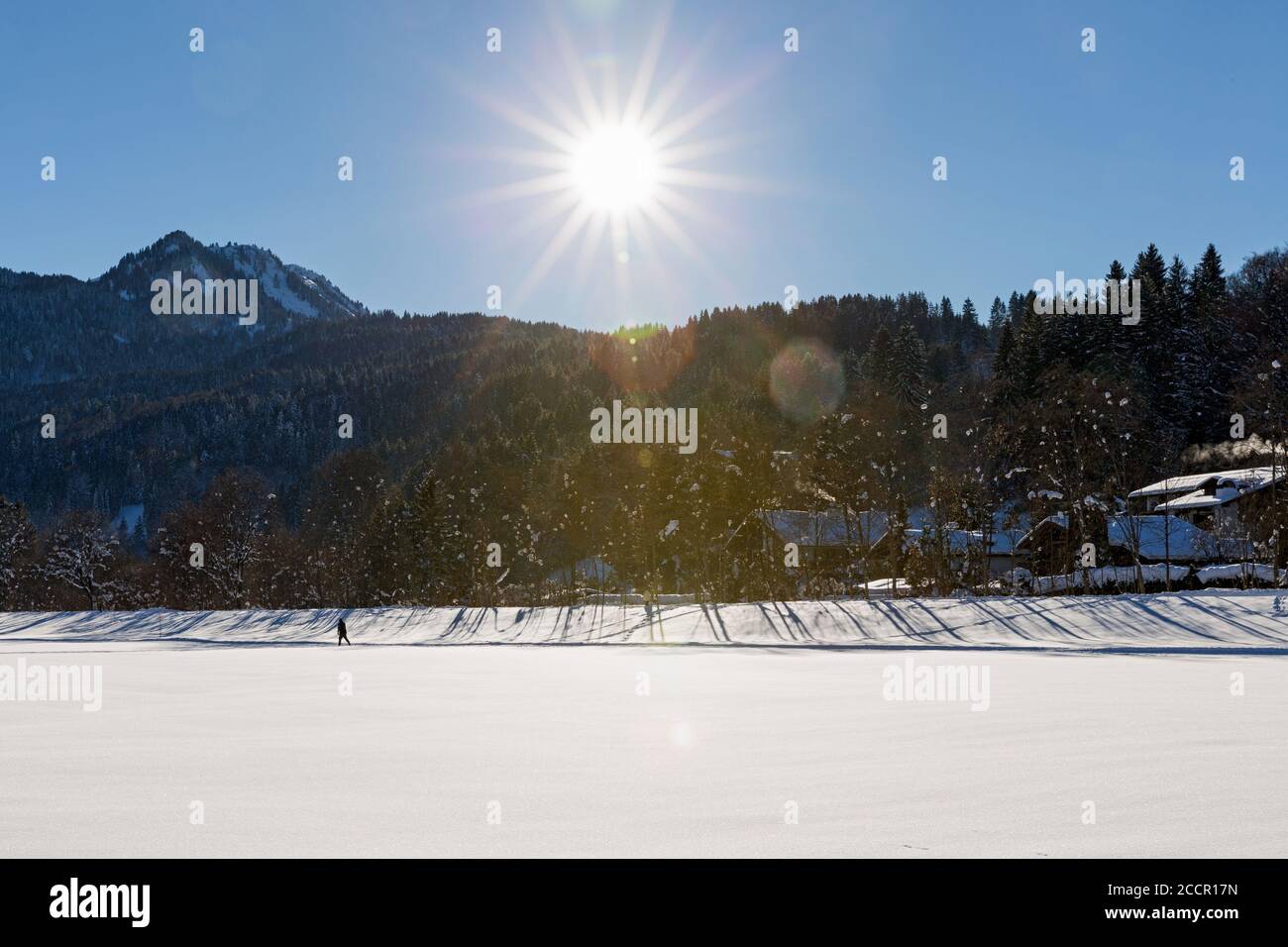 Loipe, Oberstdorf, Allgäuer Alpen Stock Photo - Alamy
