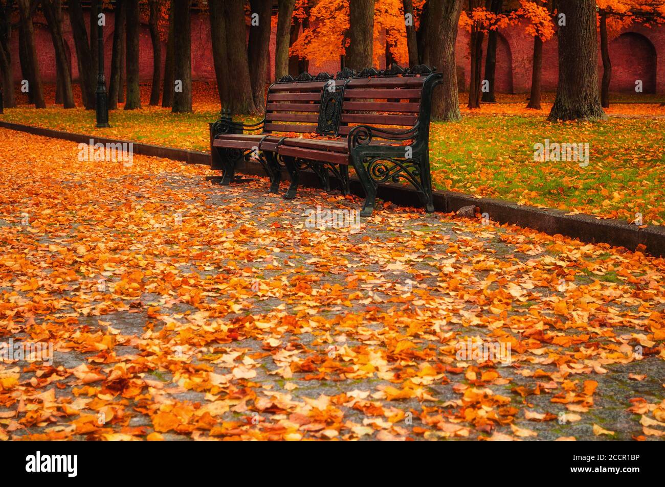 Fall landscape. Fall in the city park. City park bench in fall. Fall ...