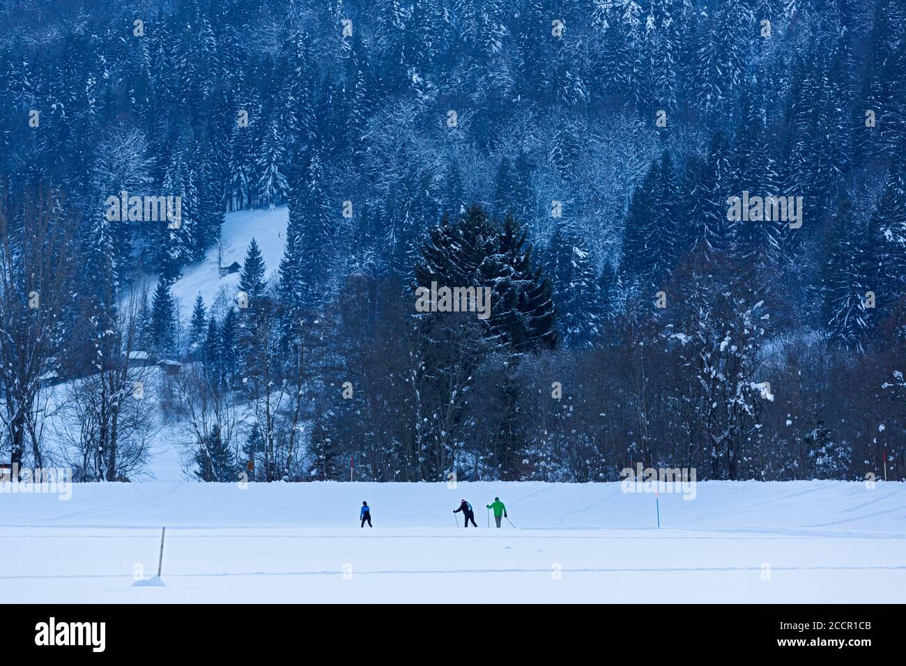 Langlauf hi-res stock photography and images - Alamy