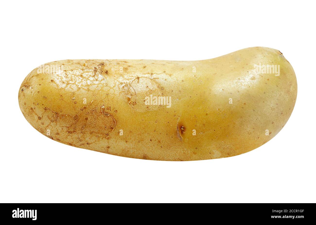 potato isolated on white background Stock Photo - Alamy