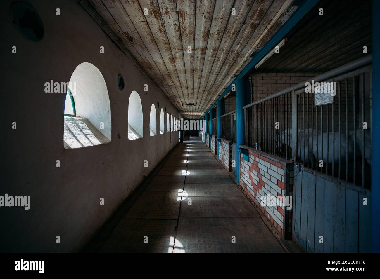 Old historical horse stable with loose horse boxes, tunnel view Stock ...
