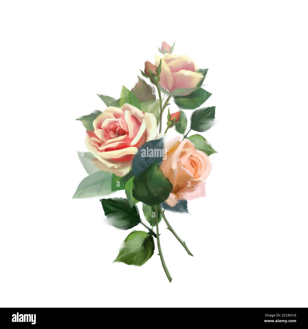 Hand drawn flowers. Bouquet of roses Stock Photo - Alamy