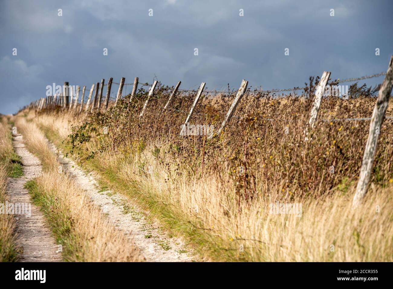 Woodingdean Brighton High Resolution Stock Photography and Images - Alamy