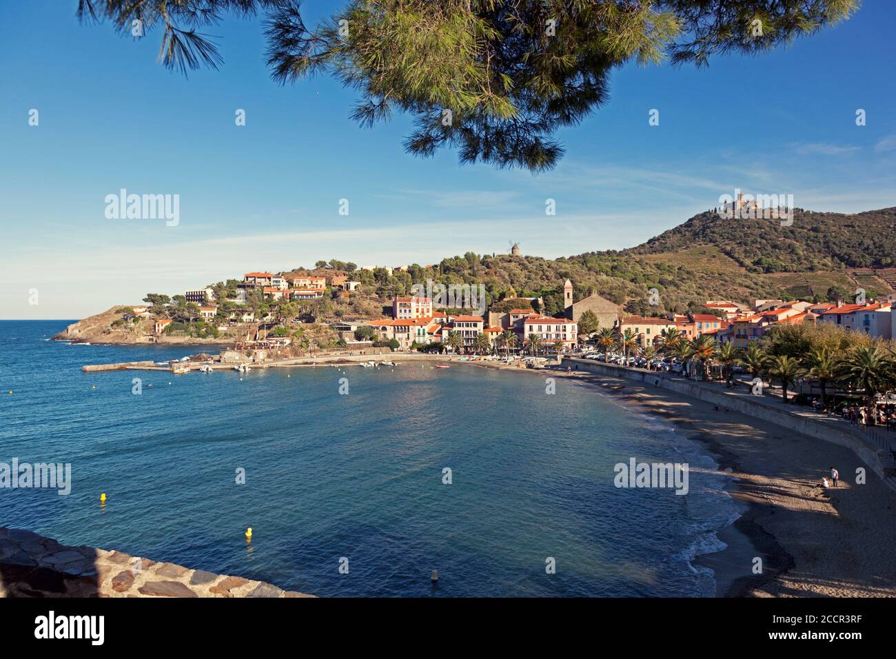 The picturesque seaside resort and harbour of Collioure in the south of ...