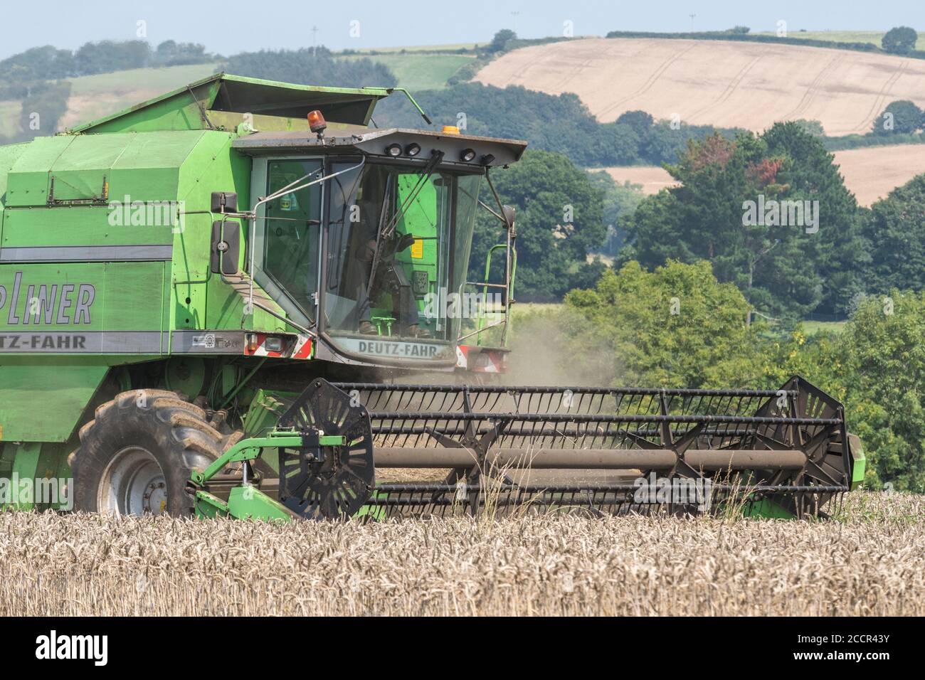 Deutz-Fahr 4065 combine harvester cutting 2020 UK wheat crop on hot ...