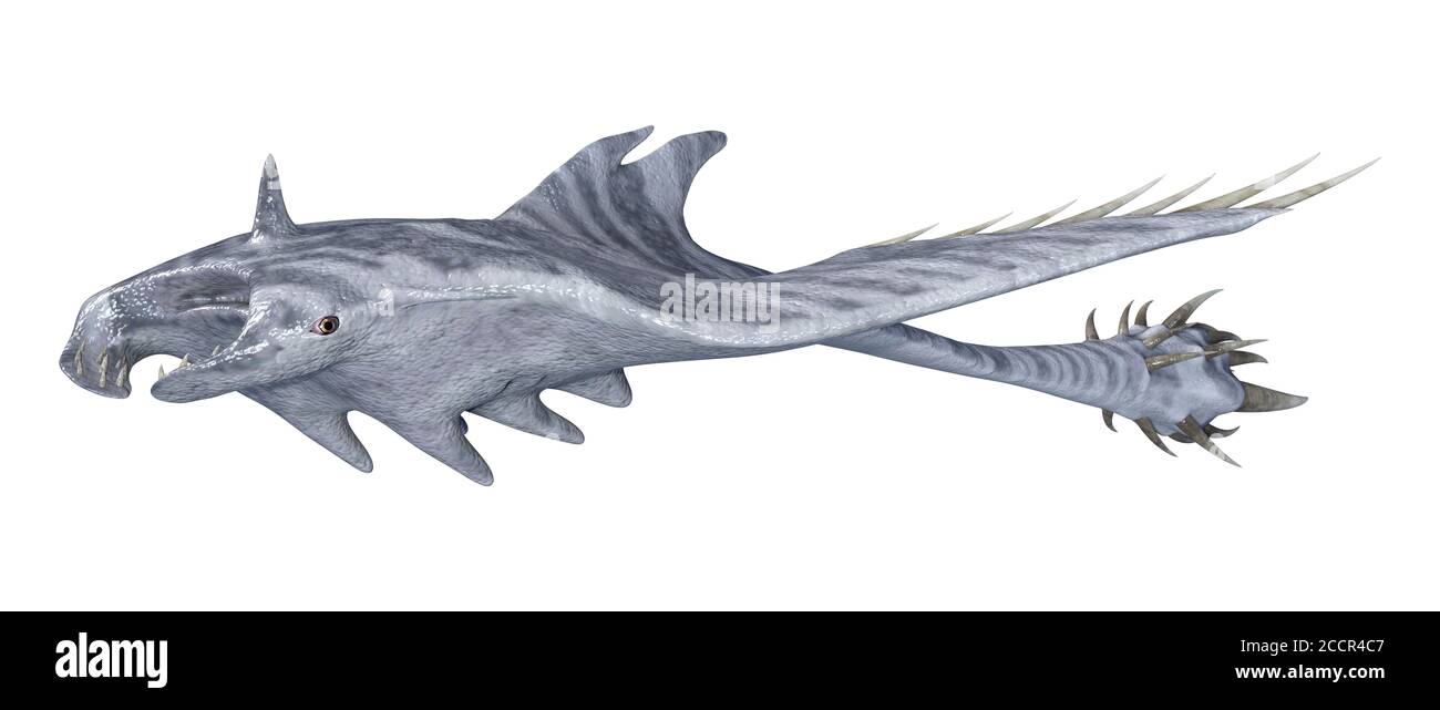 3D rendering of a devil ray isolated on white background Stock Photo ...