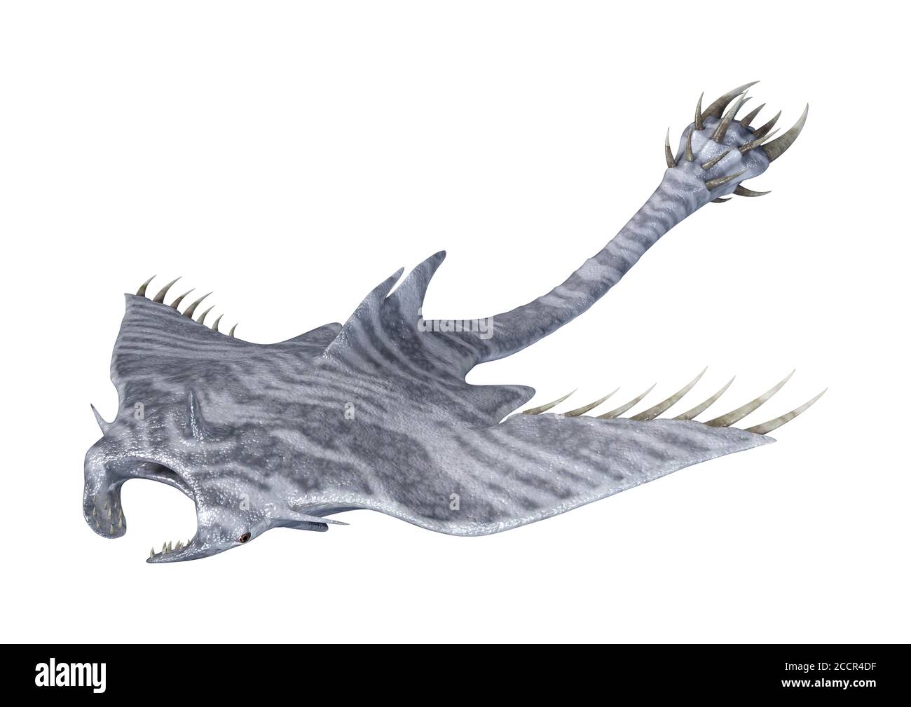 3D rendering of a devil ray isolated on white background Stock Photo ...