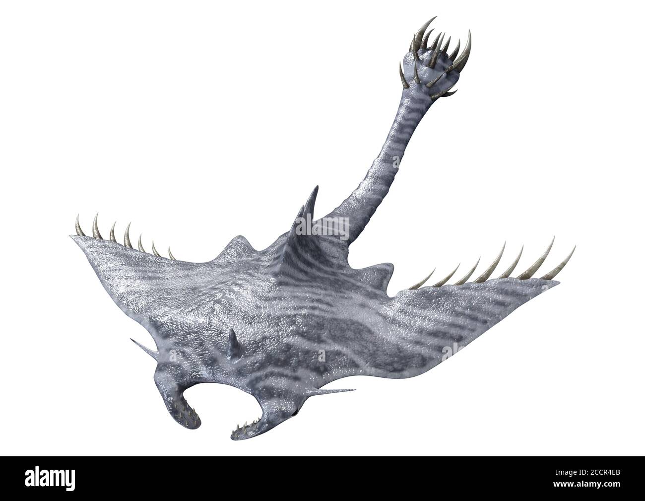3D rendering of a devil ray isolated on white background Stock Photo ...