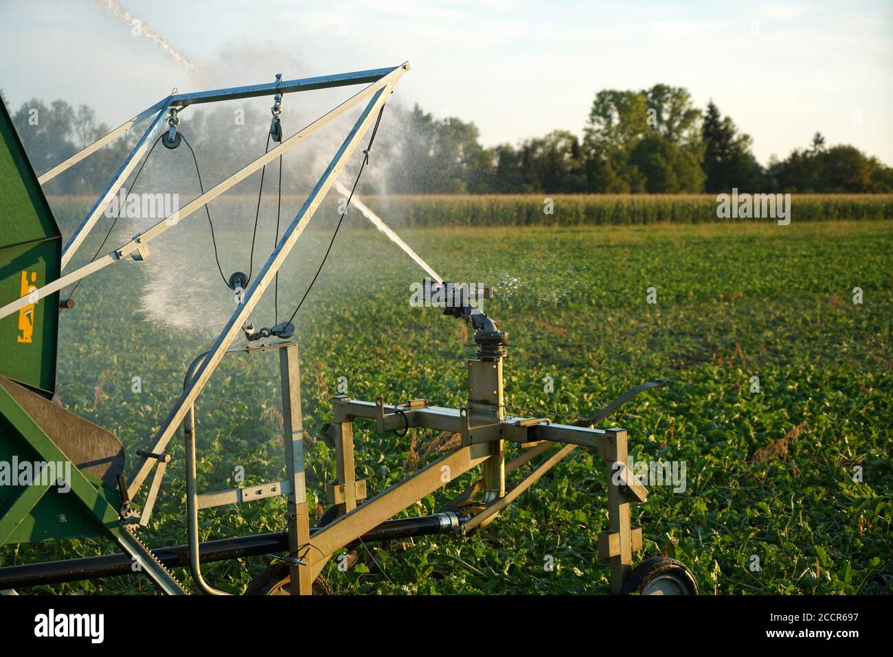 Watering process in a green field Stock Photo - Alamy