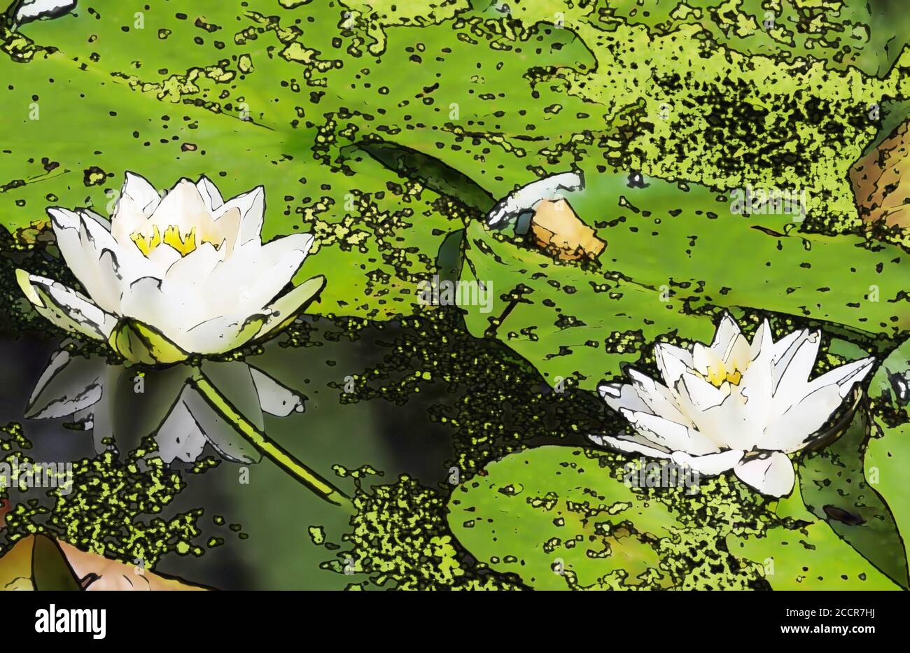 3D-Illustration of a floral background with colorful flowers in a comic ...