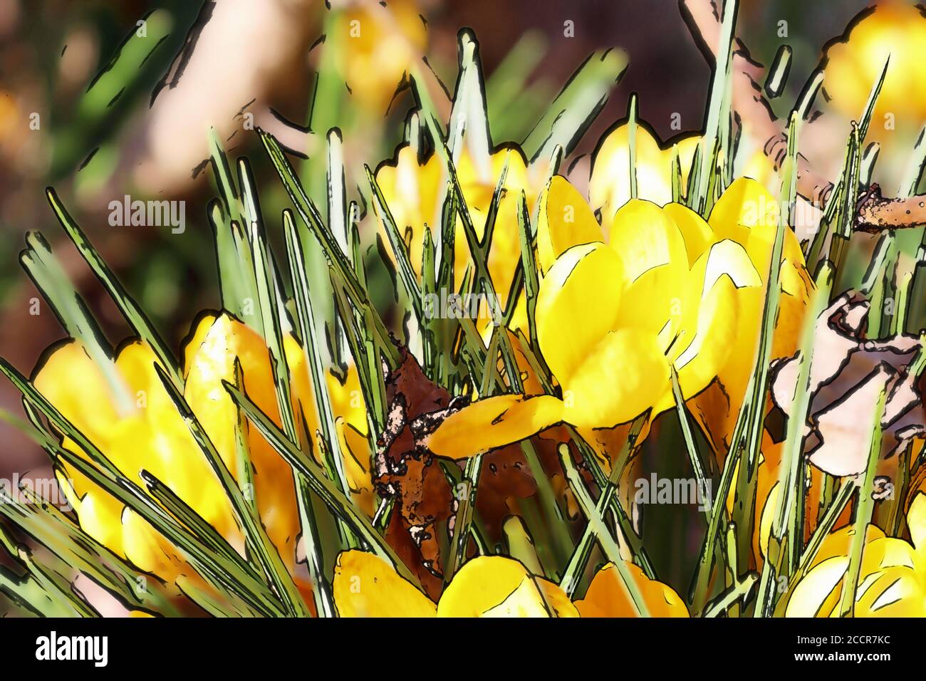 3D-Illustration of a floral background with colorful flowers in a comic ...