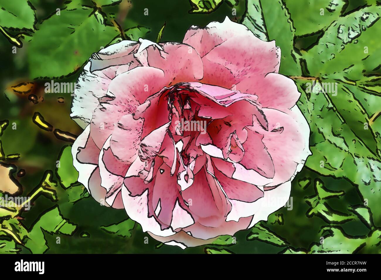3D-Illustration of a floral background with colorful flowers in a comic ...