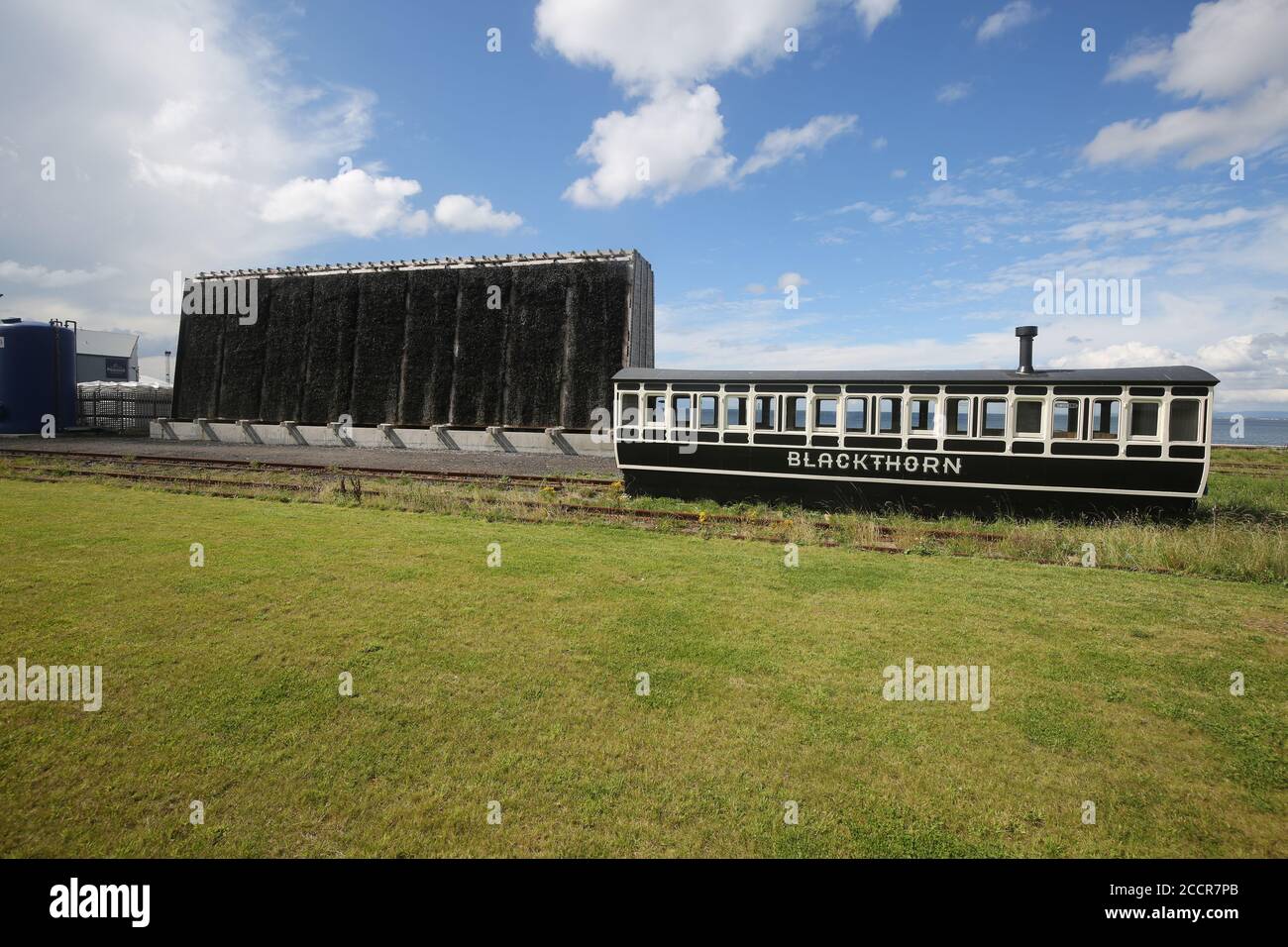 Ayr, Ayrshire, Scotland, UK, 19 August 2020 : The first & only thorn ...