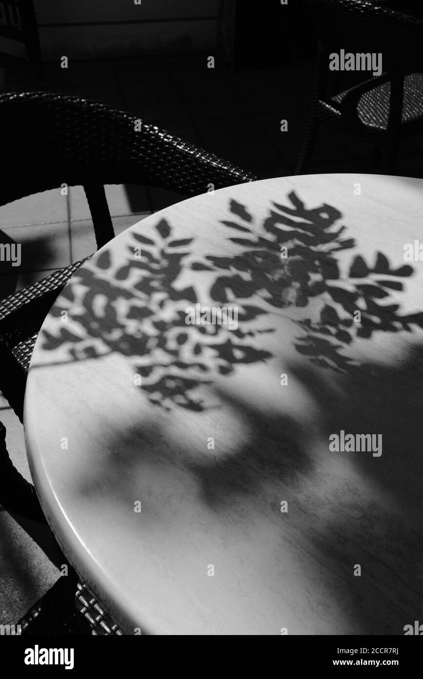 Grayscale top view of a table with a shadow Stock Photo - Alamy