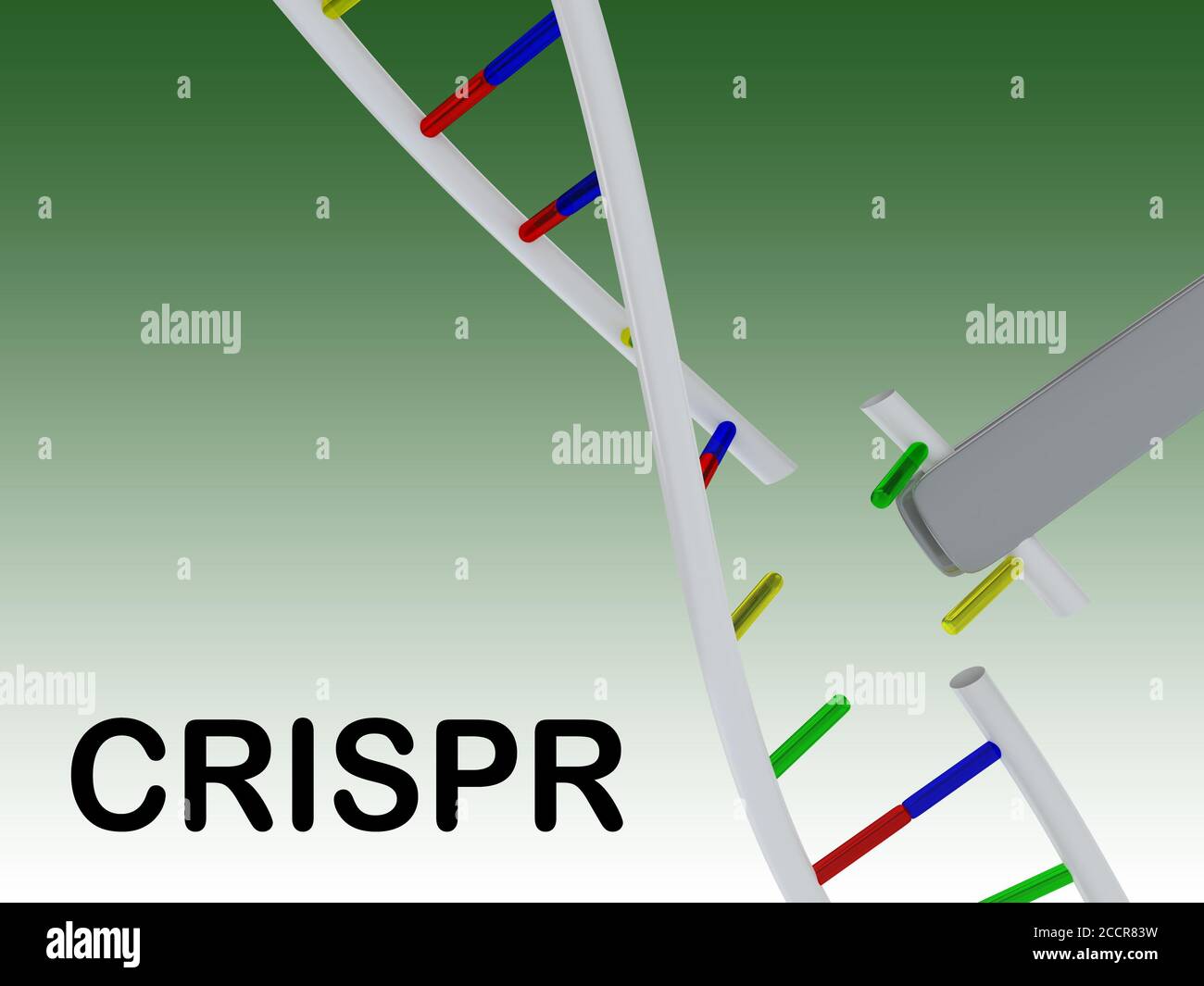 3D illustration of CRISPR script with DNA double helix, isolated over ...
