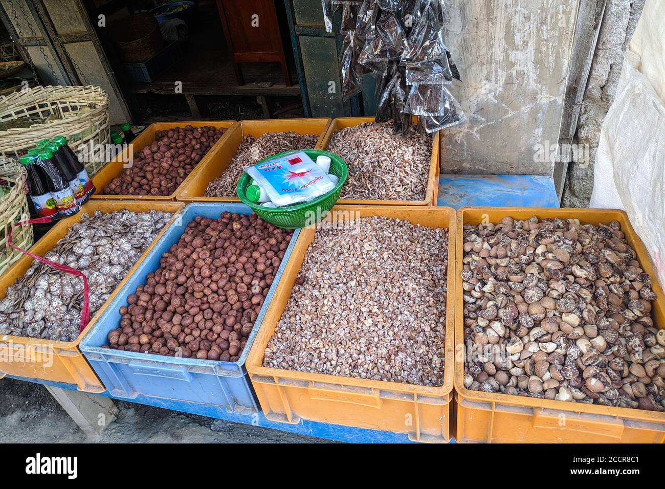 Betel nut. Different types and cuts. Preparation of betel nut ready to ...