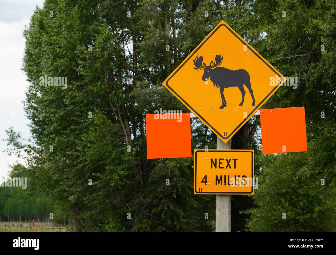 View of a moose crossing sign on the road in Grand Teton National Park ...