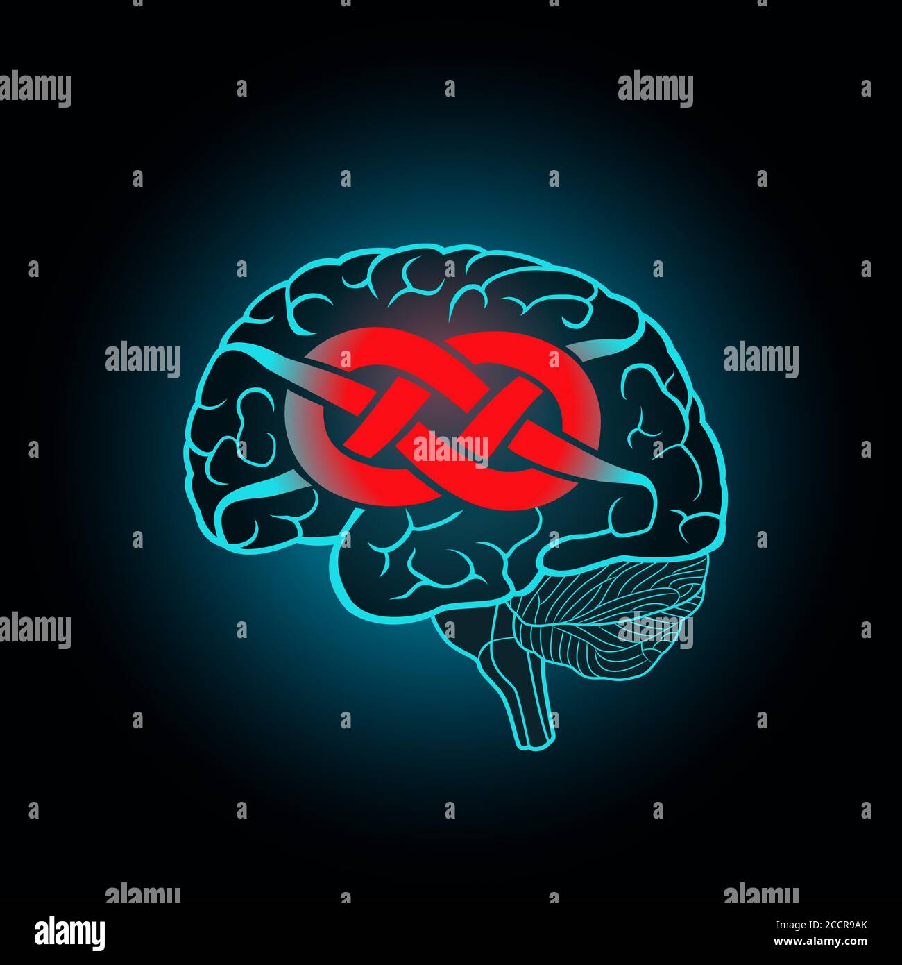 Brain with convolutions associated to the knot. The concept of ...
